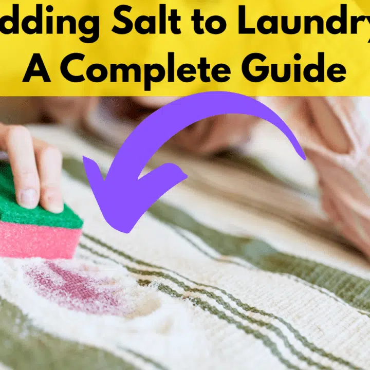 Adding Salt to Laundry: A Complete Guide – Organizing.TV