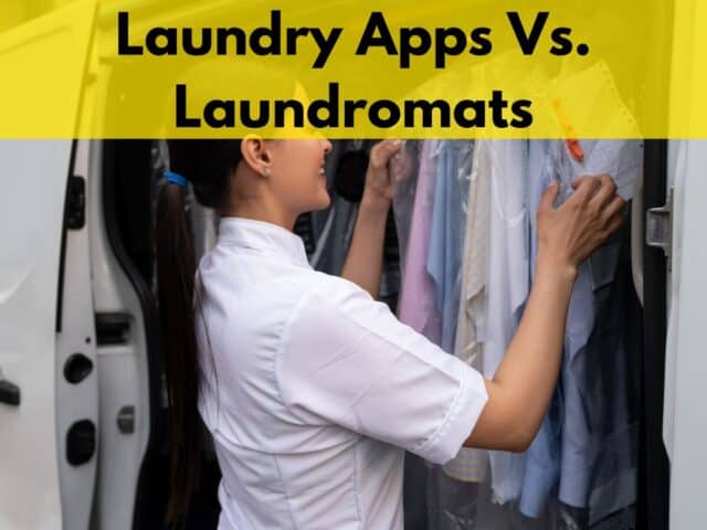 The 6 Best Enzyme Laundry Detergents (And Why It’s So Great ...